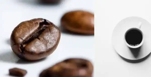 Coffee Architecture - Coffee Shop Arcade