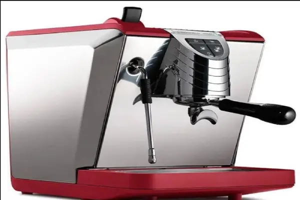 Majesty Coffee - Coffee Shop Arcade